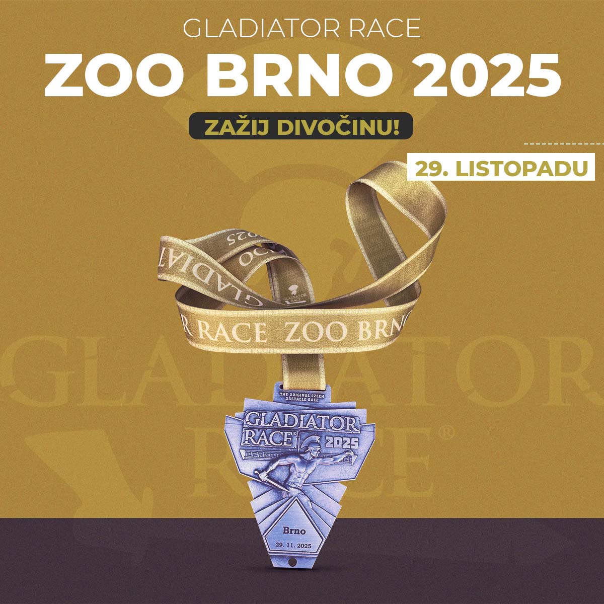 ZOO Brno | Gladiator Race